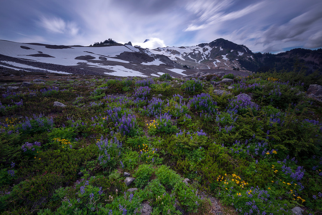 Jason Wilde Photography | Ptarmigan Ridge Hike