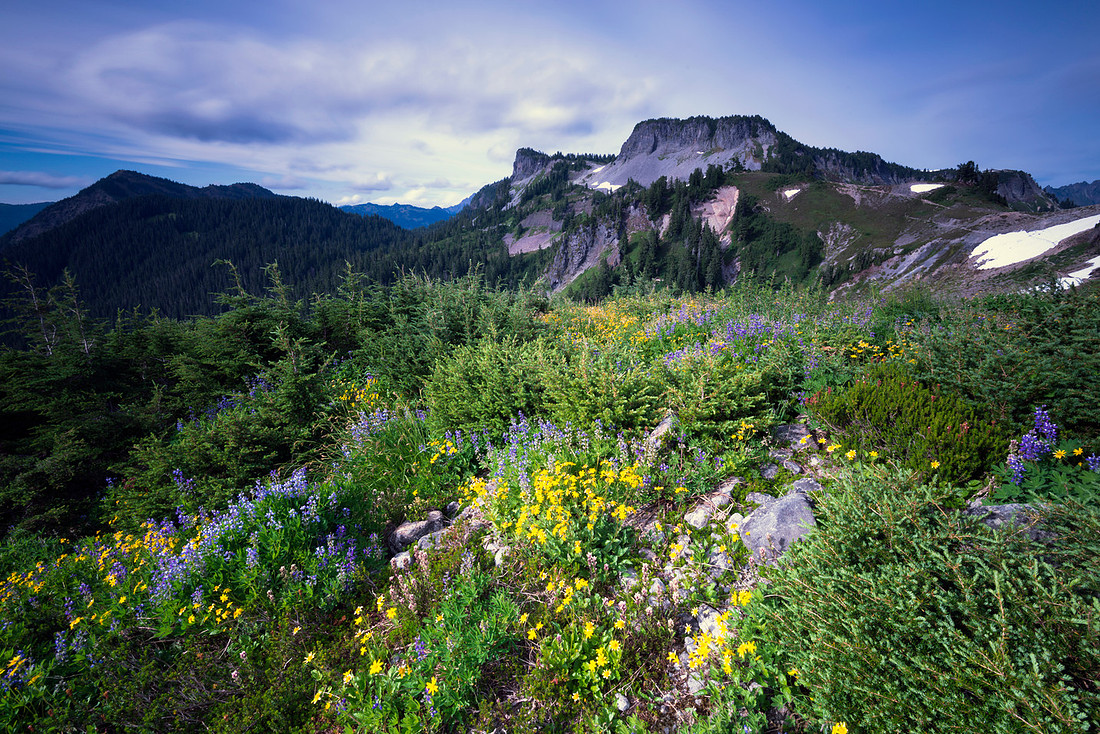 Jason Wilde Photography | Ptarmigan Ridge Hike